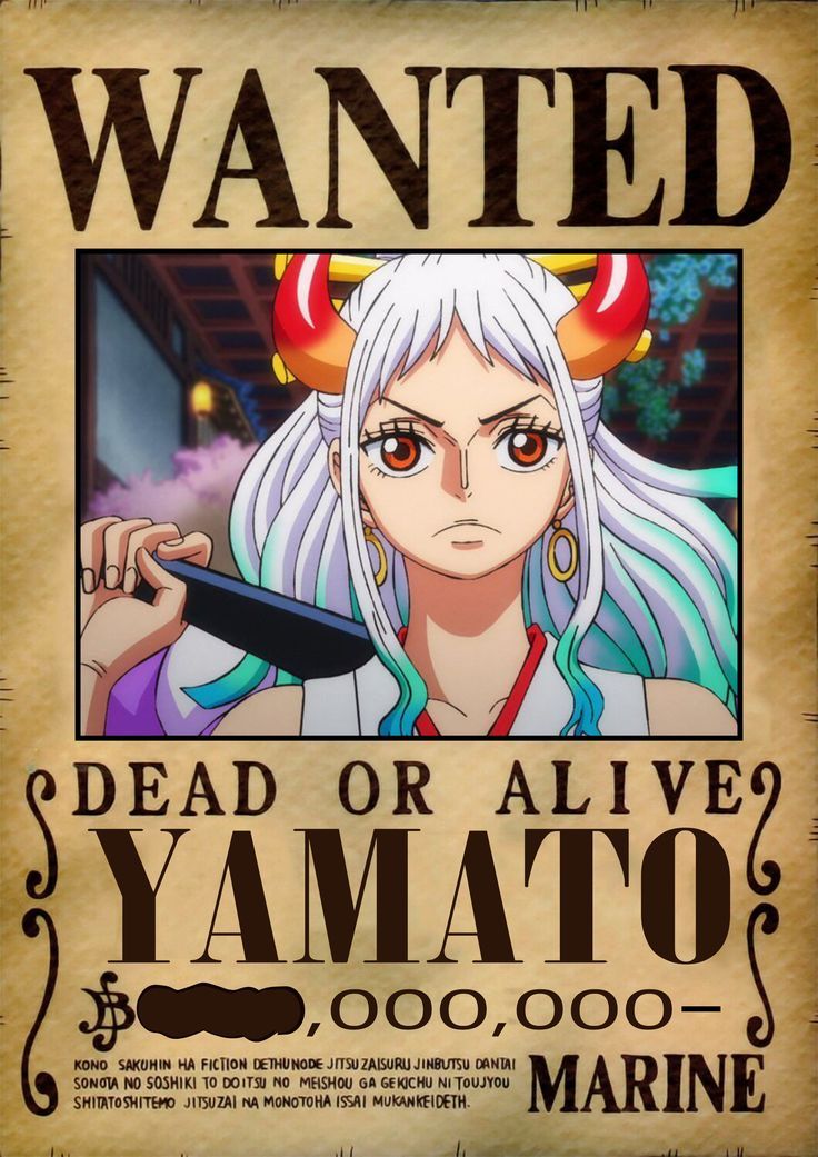 Segundo projeto one piece